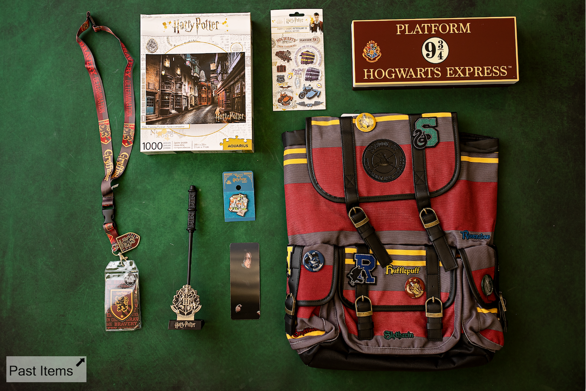 Bibbidi Wizard: Magical Harry Potter Subscription Box Adventure